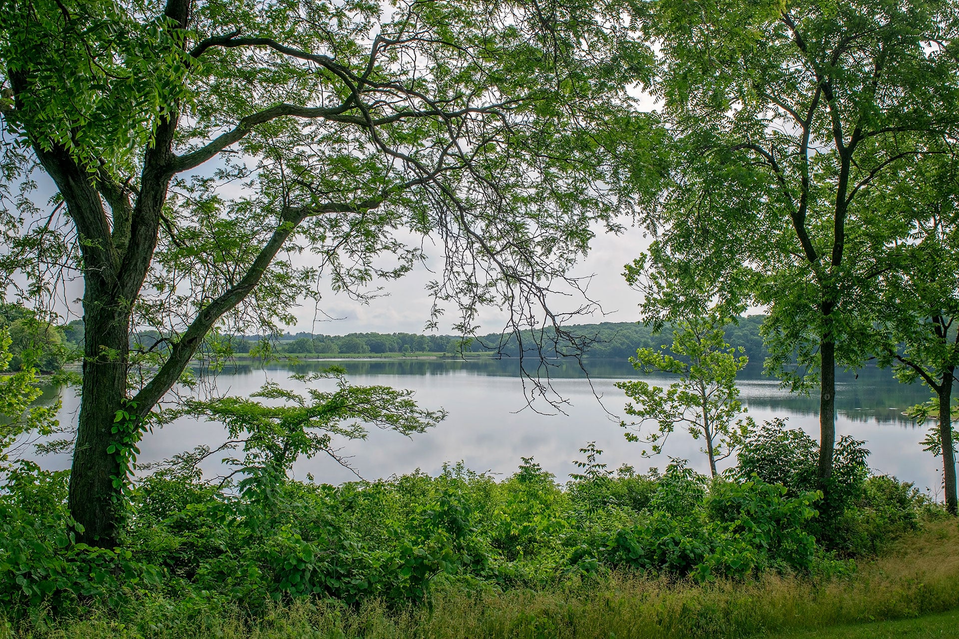 Homepage - Davis County