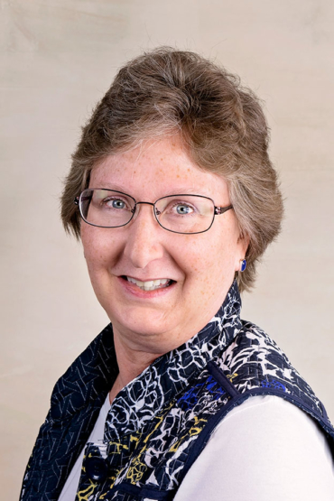 Auditor - Davis County