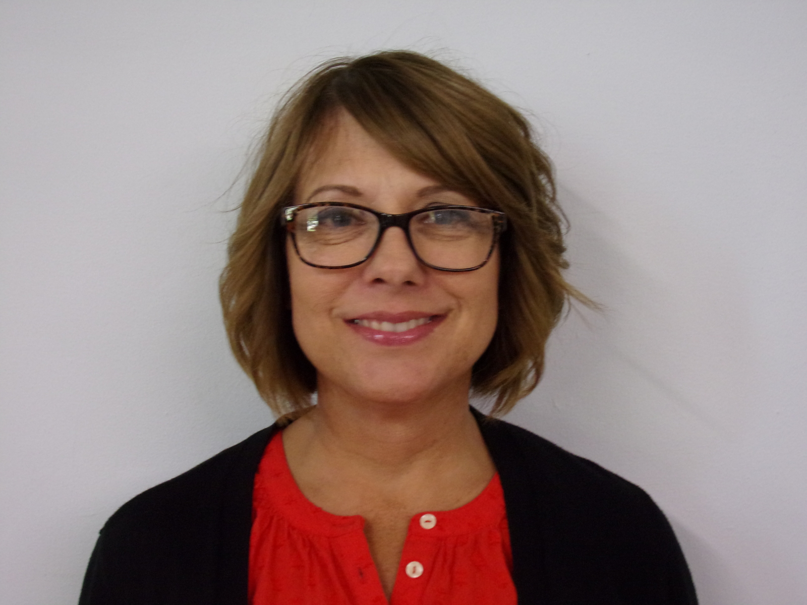 Auditor - Davis County